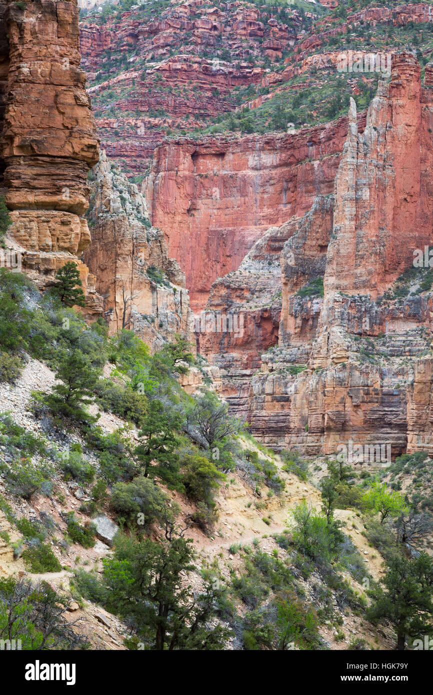 The North Kaibab Trail ascending toward the Redwall Limestone formation ...