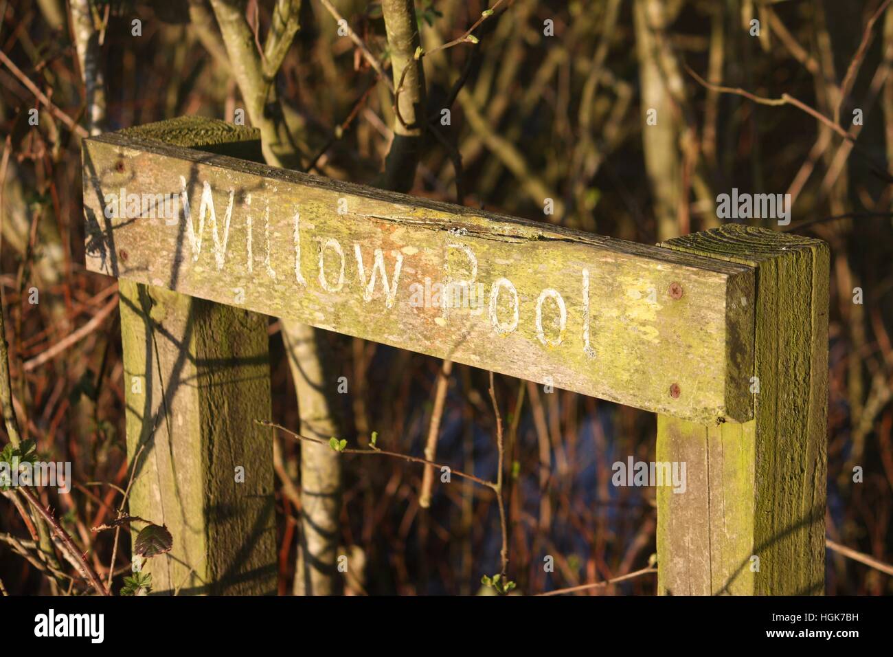 Willow pool hi-res stock photography and images - Alamy