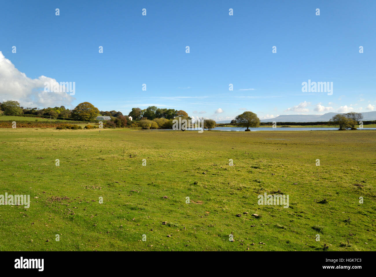 Brechfa hi-res stock photography and images - Alamy
