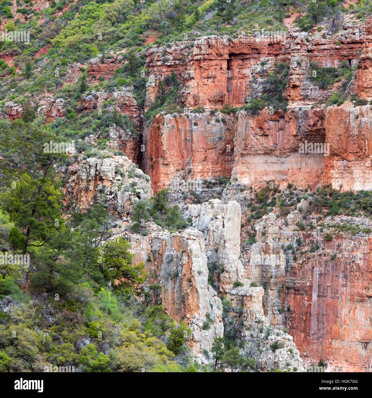 The Redwall Limestone layer of the Grand Canyon coated with various ...