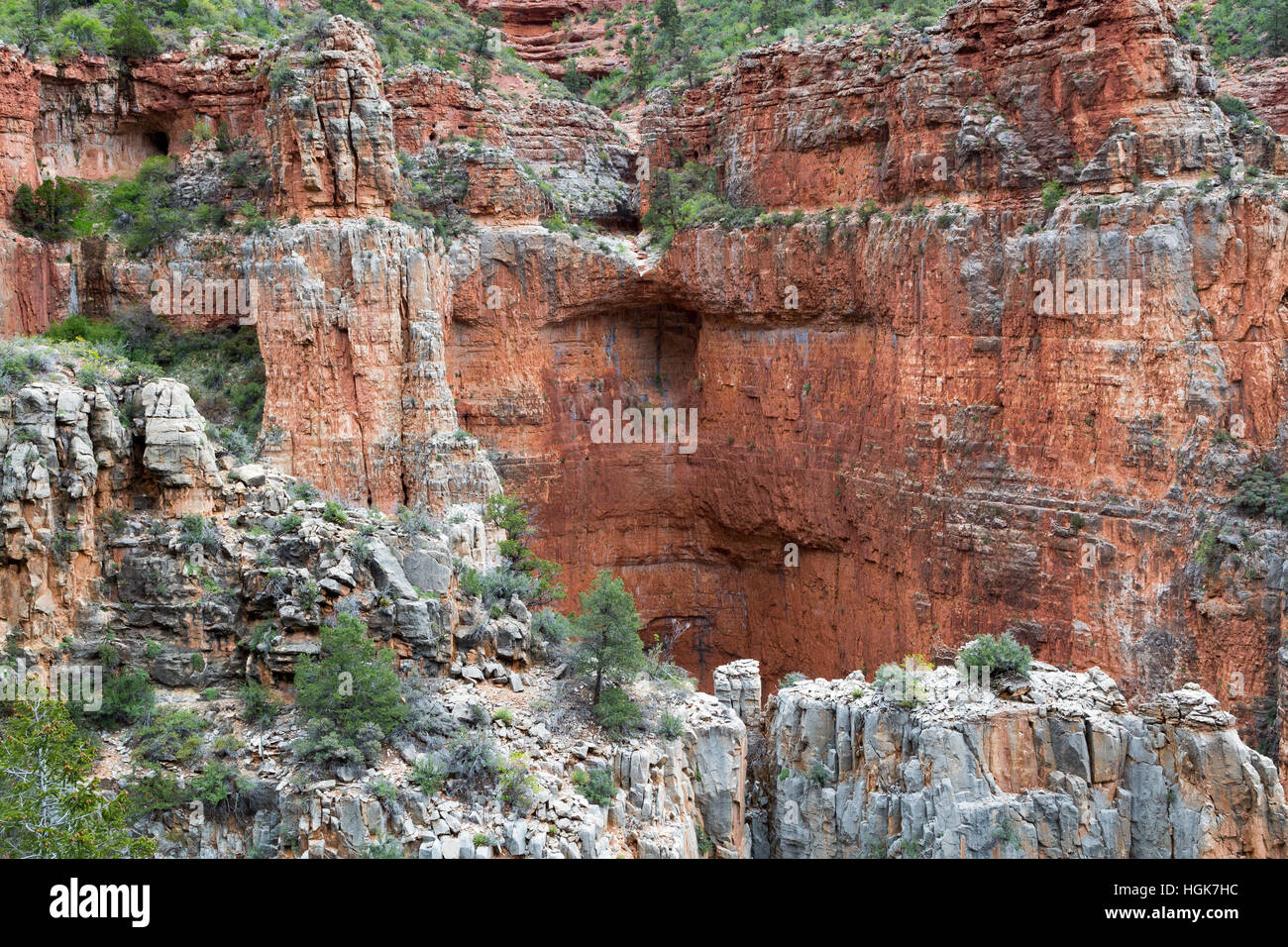 An abstract of the Redwall Limestone layer in the North Rim of the ...