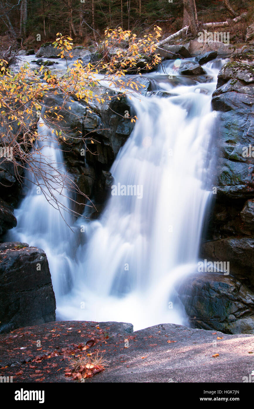 Spain river in a forest Stock Photo - Alamy