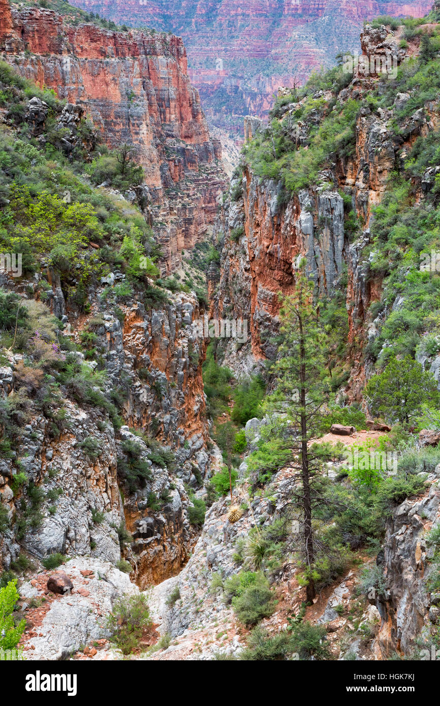 Vertical cliff walls dropping down from the North Kaibab Trail in the ...
