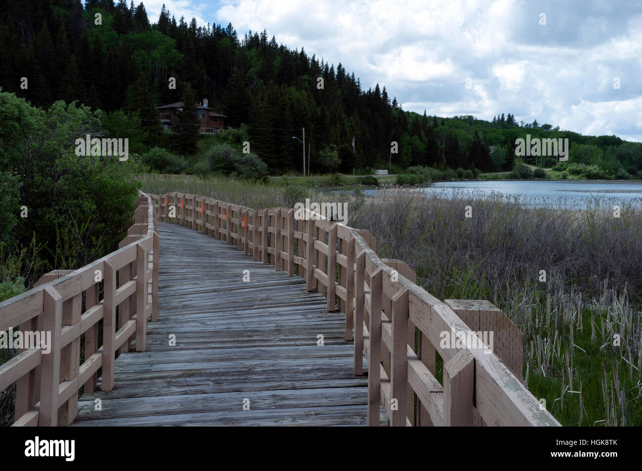 Cypress Hills, Alberta, Canada Stock Photo - Alamy