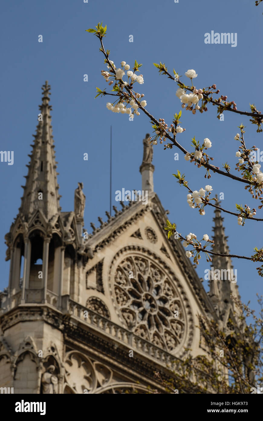 Cathedral in spring hi-res stock photography and images - Alamy
