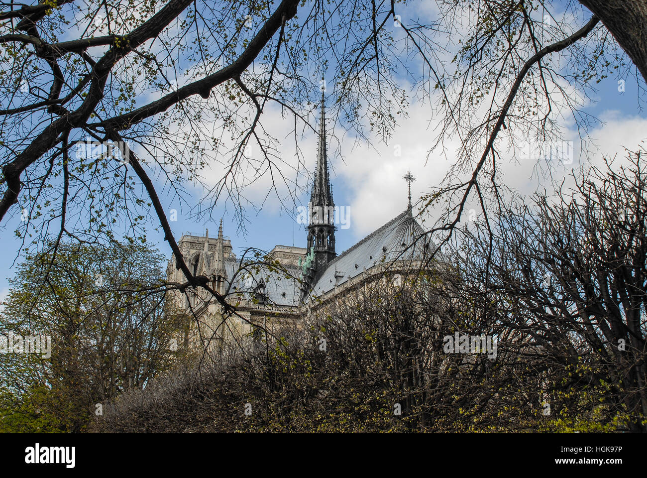 Notre Dame under the trees of Paris Stock Photo - Alamy