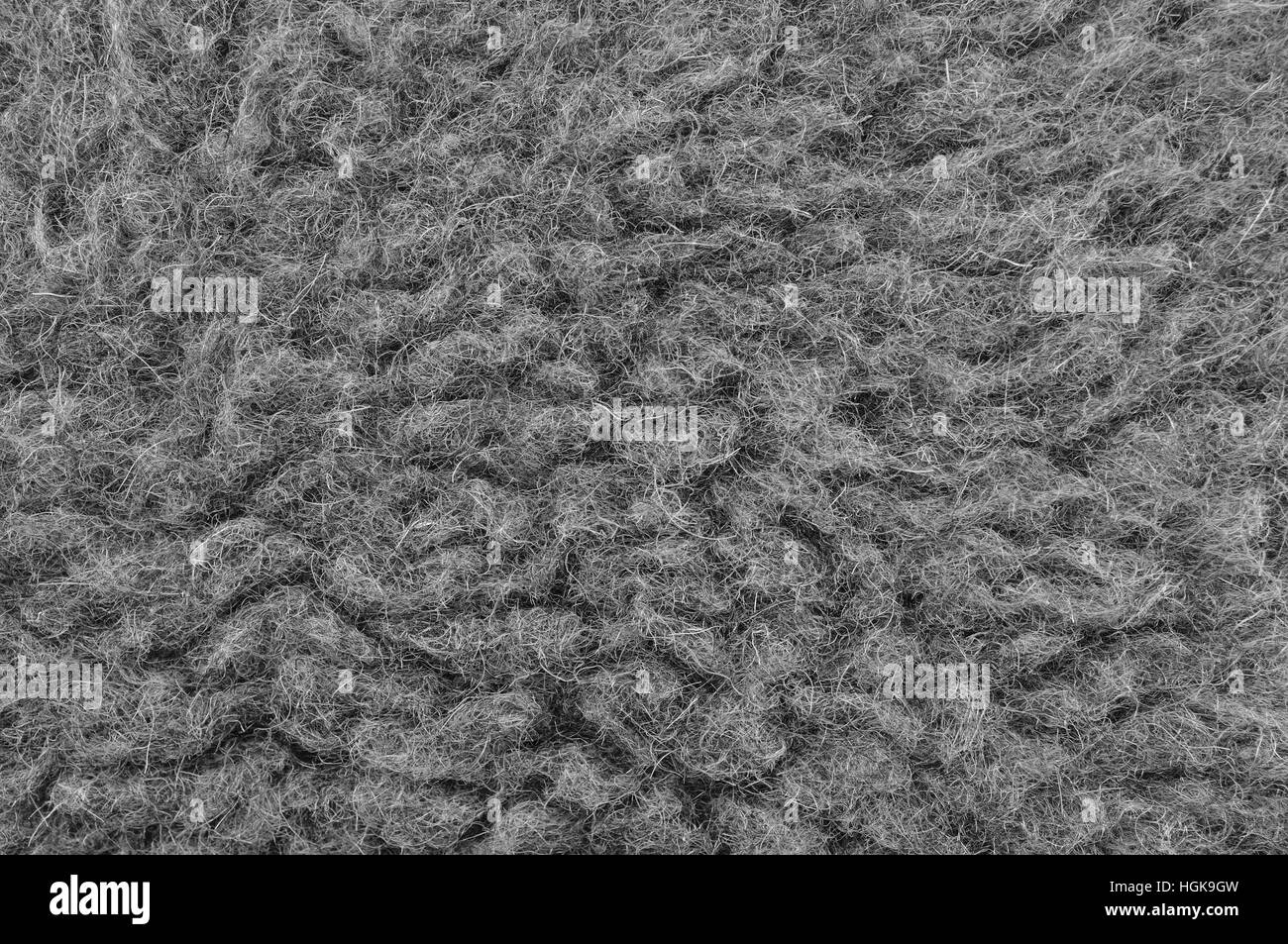 Raw Merino Sheep Wool Macro Closeup, Large Detailed Grey Textured ...