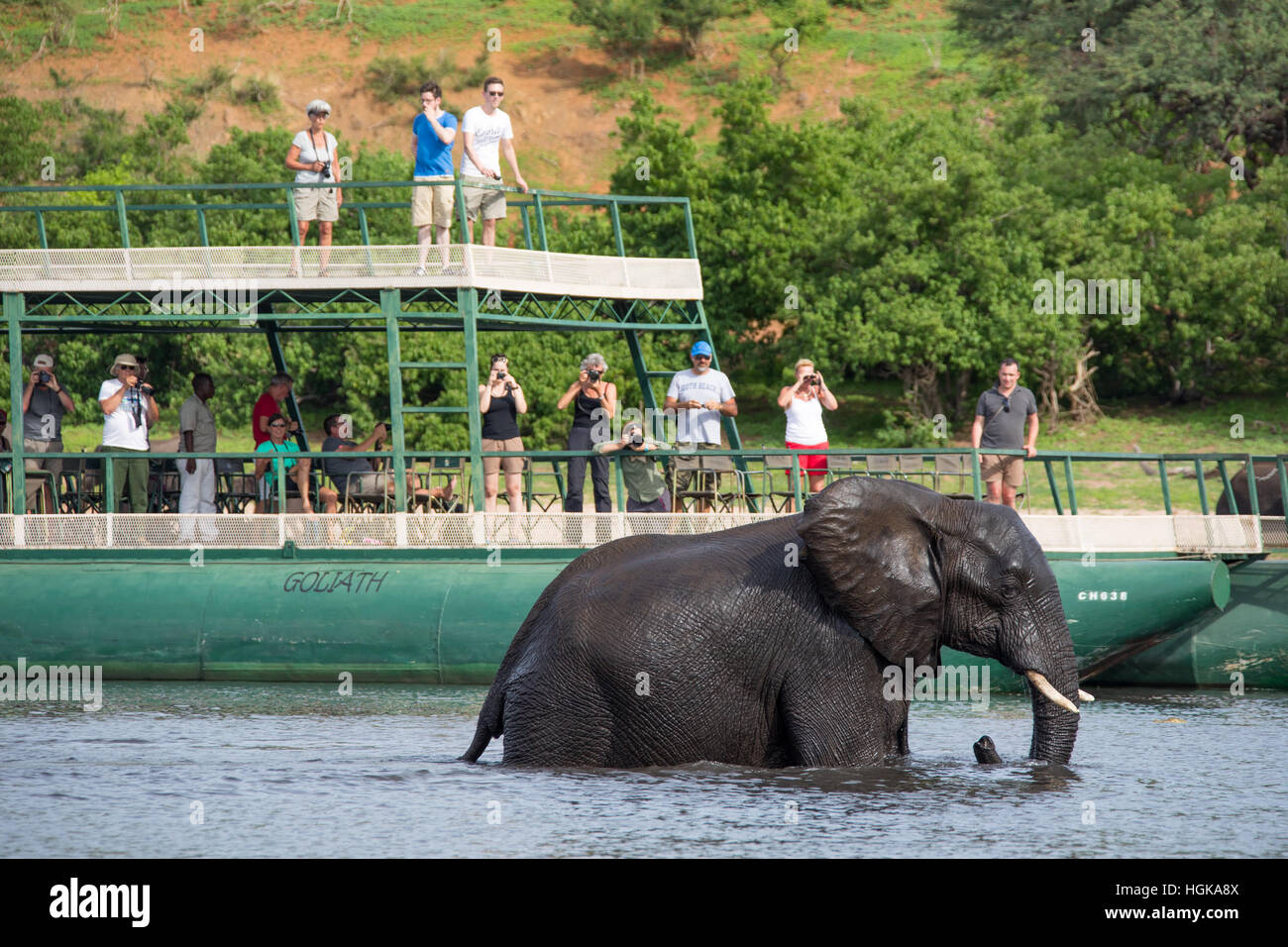 Safari horizontal hi-res stock photography and images - Alamy