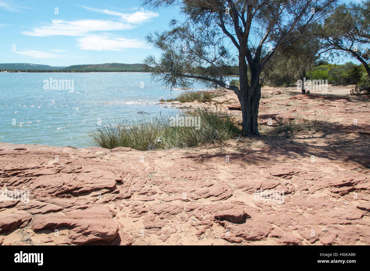 Red sandstone and native flora on the riverbanks of the glistening ...
