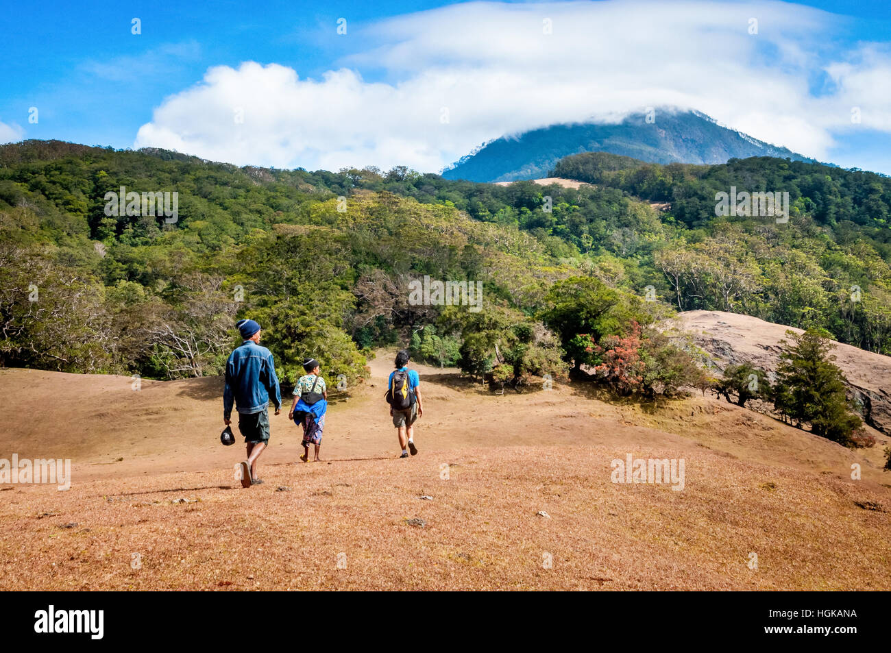 Savanna Dry High Resolution Stock Photography and Images - Alamy