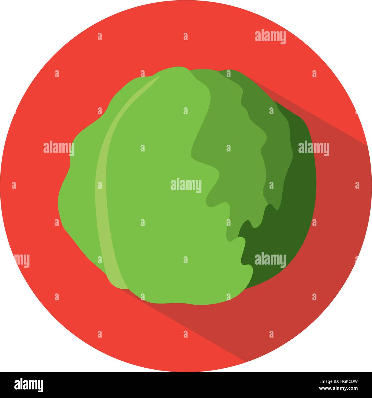 lettuce vegetable icon over red circle and white background. colorful ...