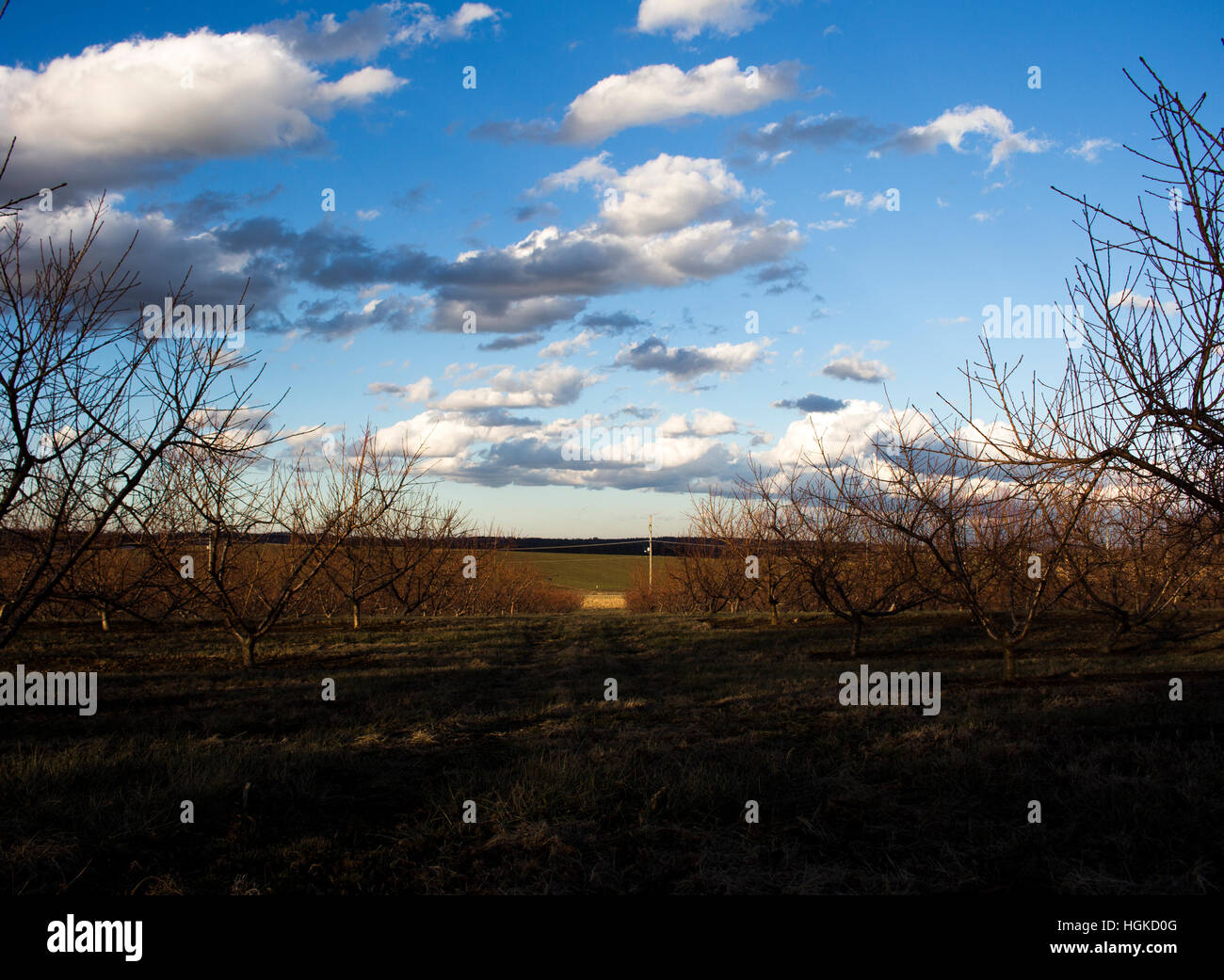 Beauty in cold hi-res stock photography and images - Alamy