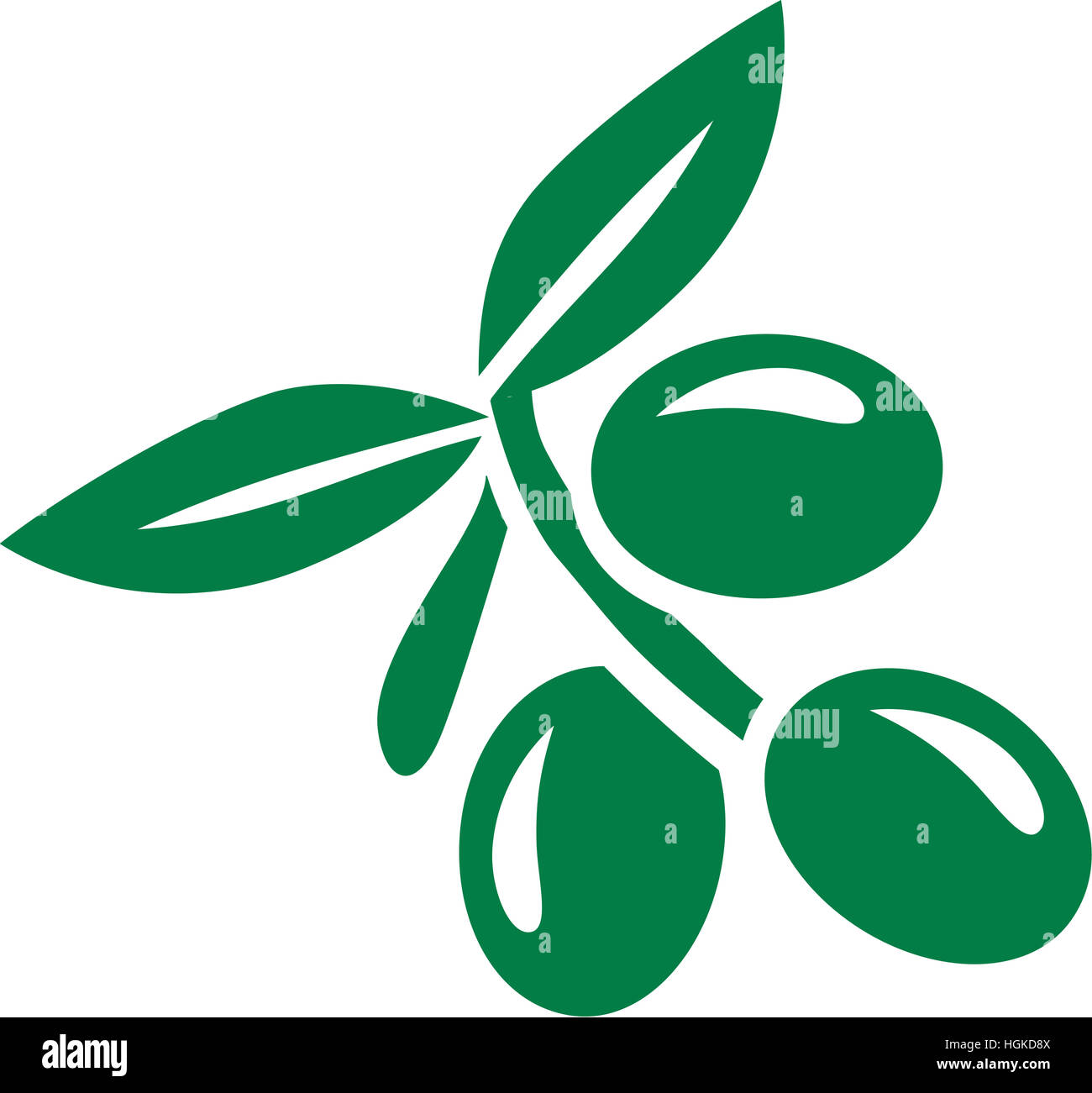 Olive leaf and branch hi-res stock photography and images - Alamy