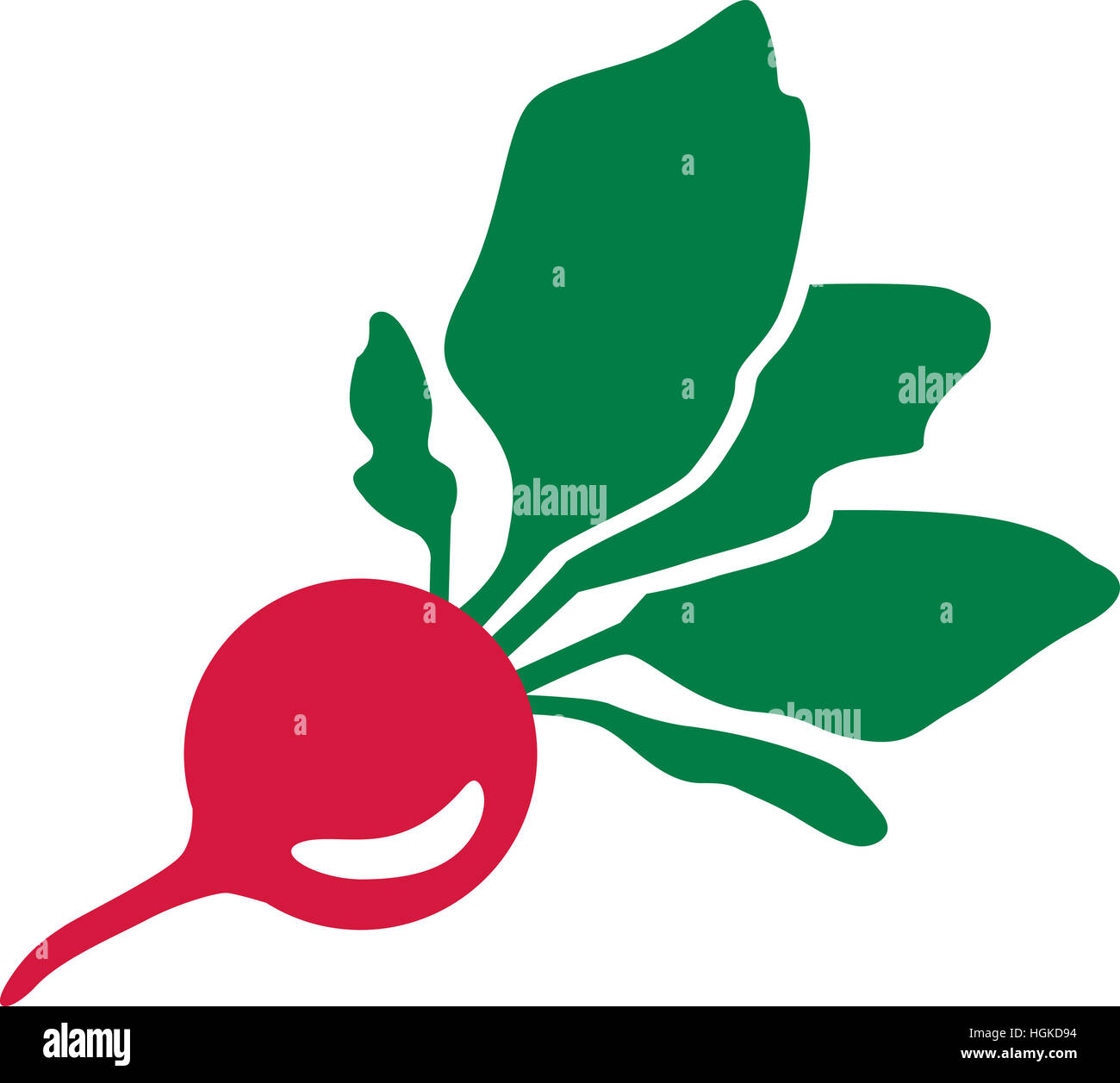 Radish symbol hi-res stock photography and images - Alamy