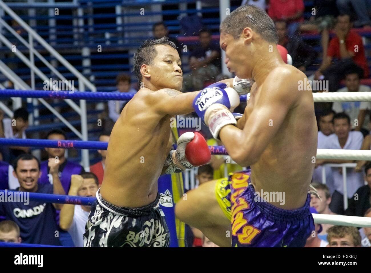 A Muay Thai, kick boxing fight, Phuket , Thailand Stock Photo - Alamy