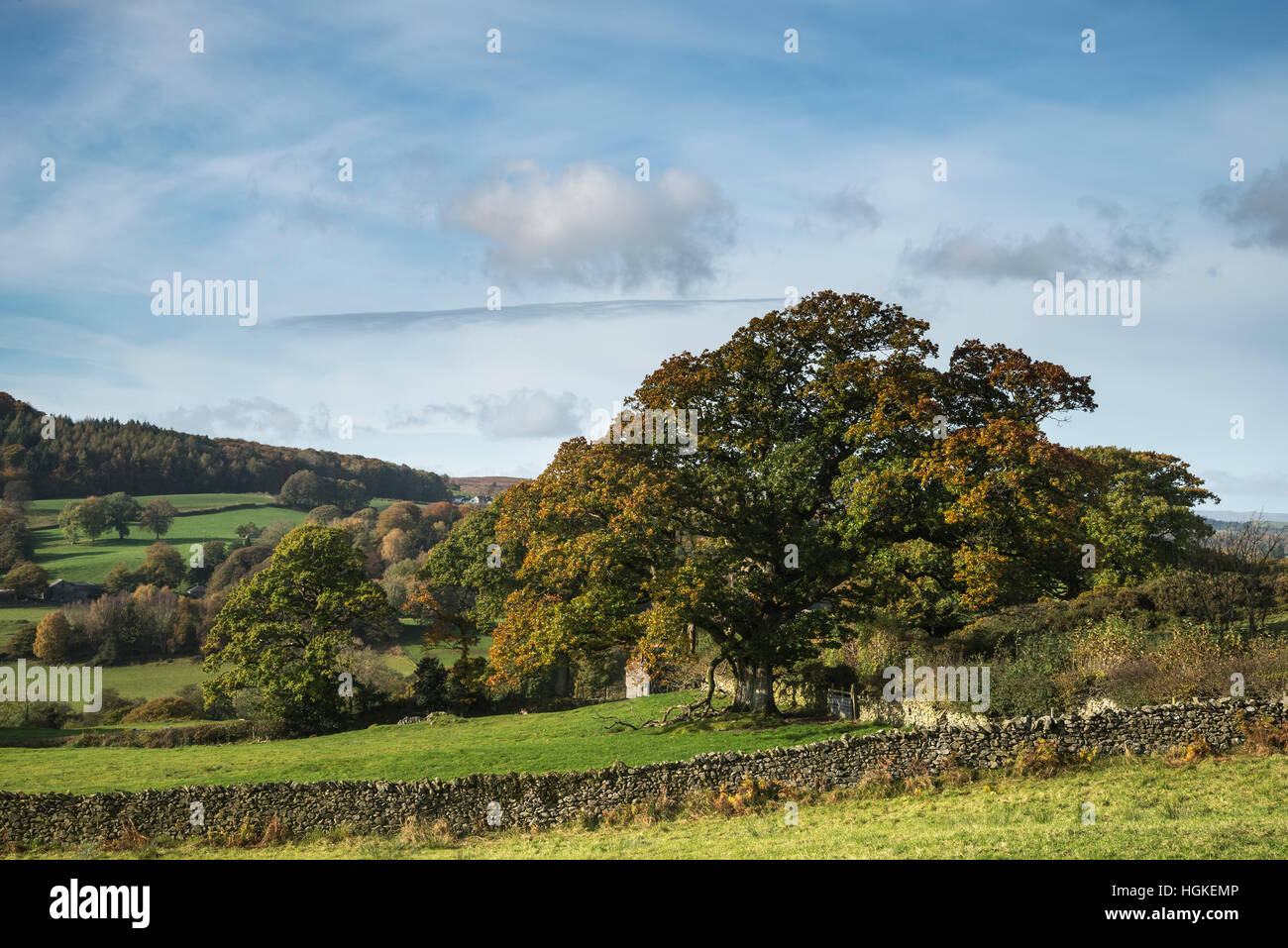 Fall uk landscape hi-res stock photography and images - Alamy