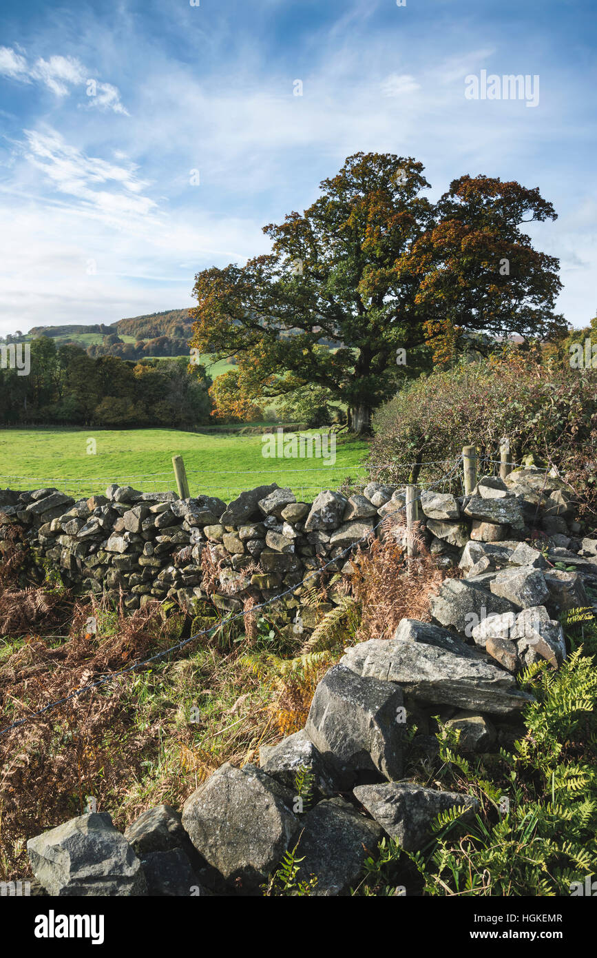 Fall uk landscape hi-res stock photography and images - Alamy