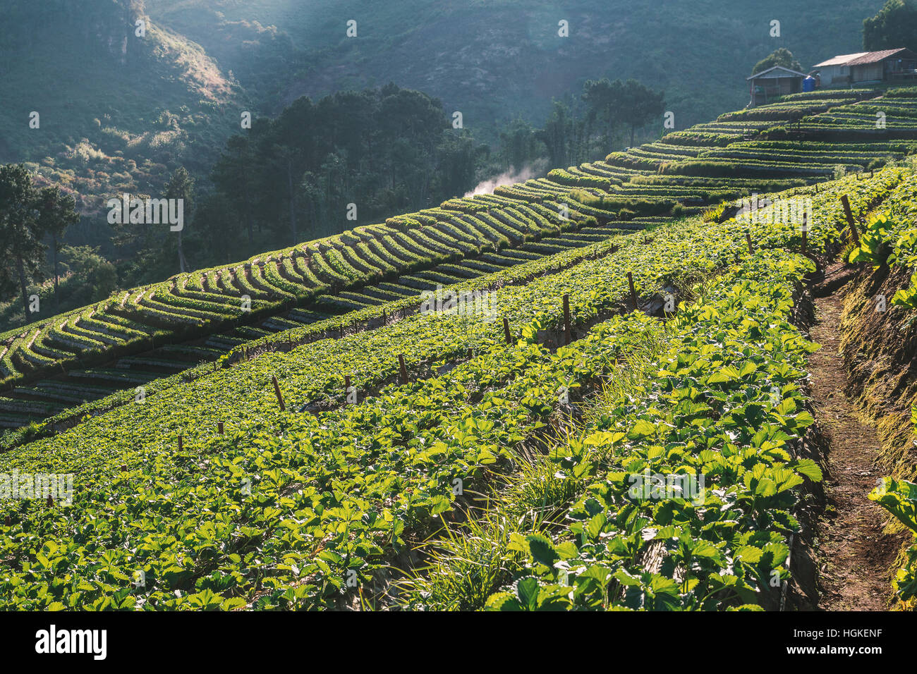 Sunlight slope hi-res stock photography and images - Alamy