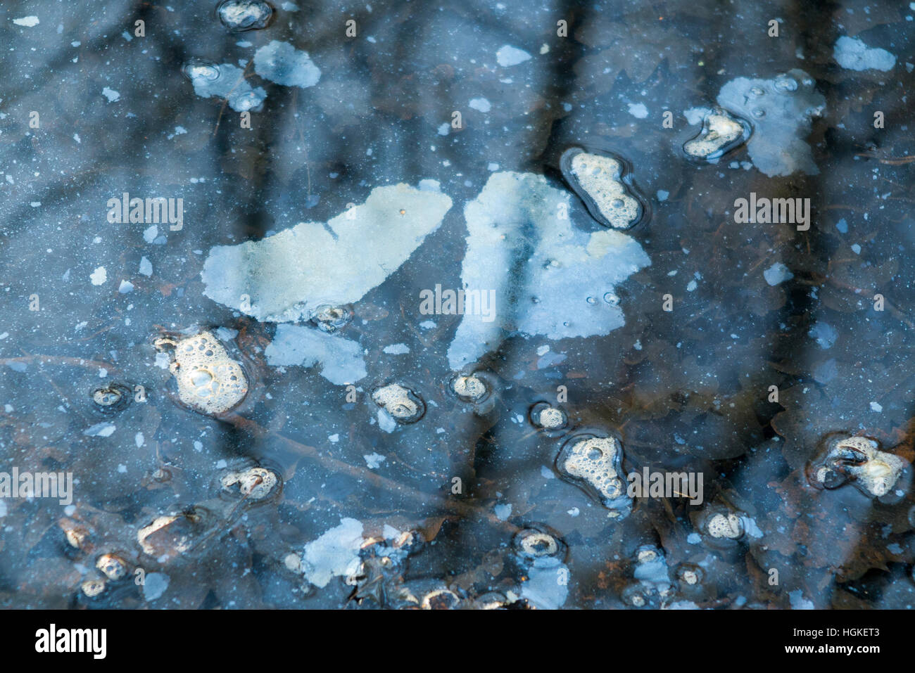 Water pool / pond / slow flowing stream contaminated / polluted with ...