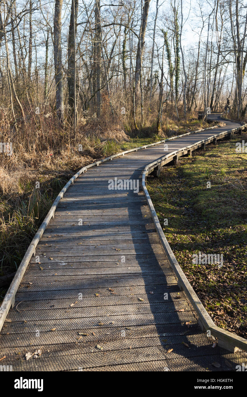 Walkway / pathway / foot path / footpath for walking tourists / hikers ...