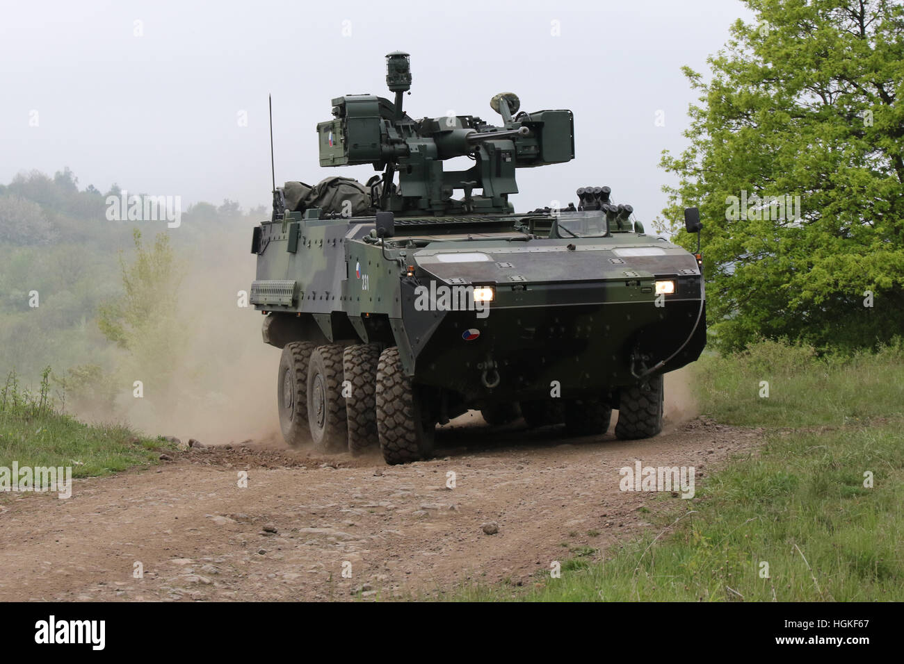 Pandur ii hi-res stock photography and images - Alamy