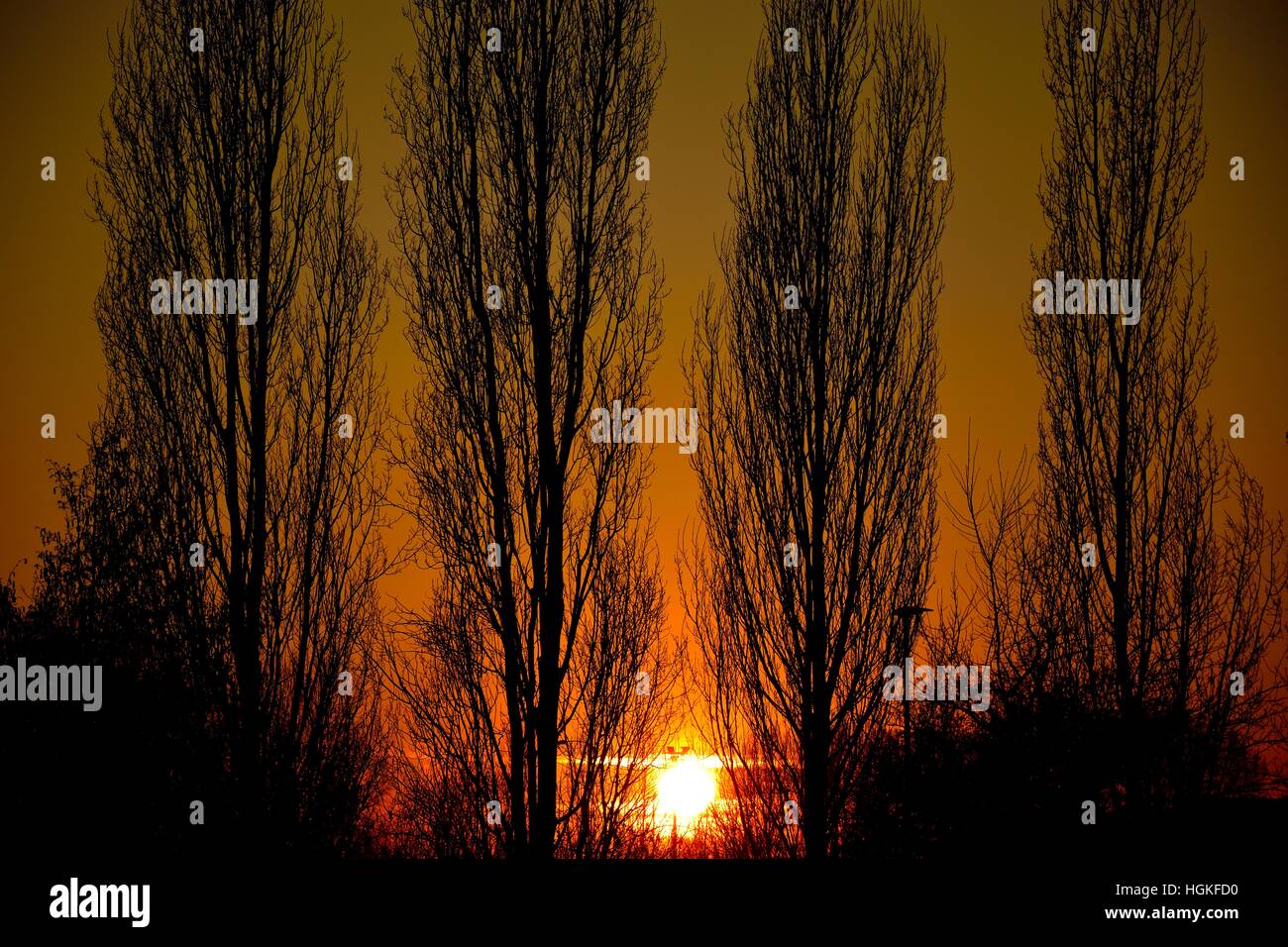 Sunset behind trees from hi-res stock photography and images - Alamy
