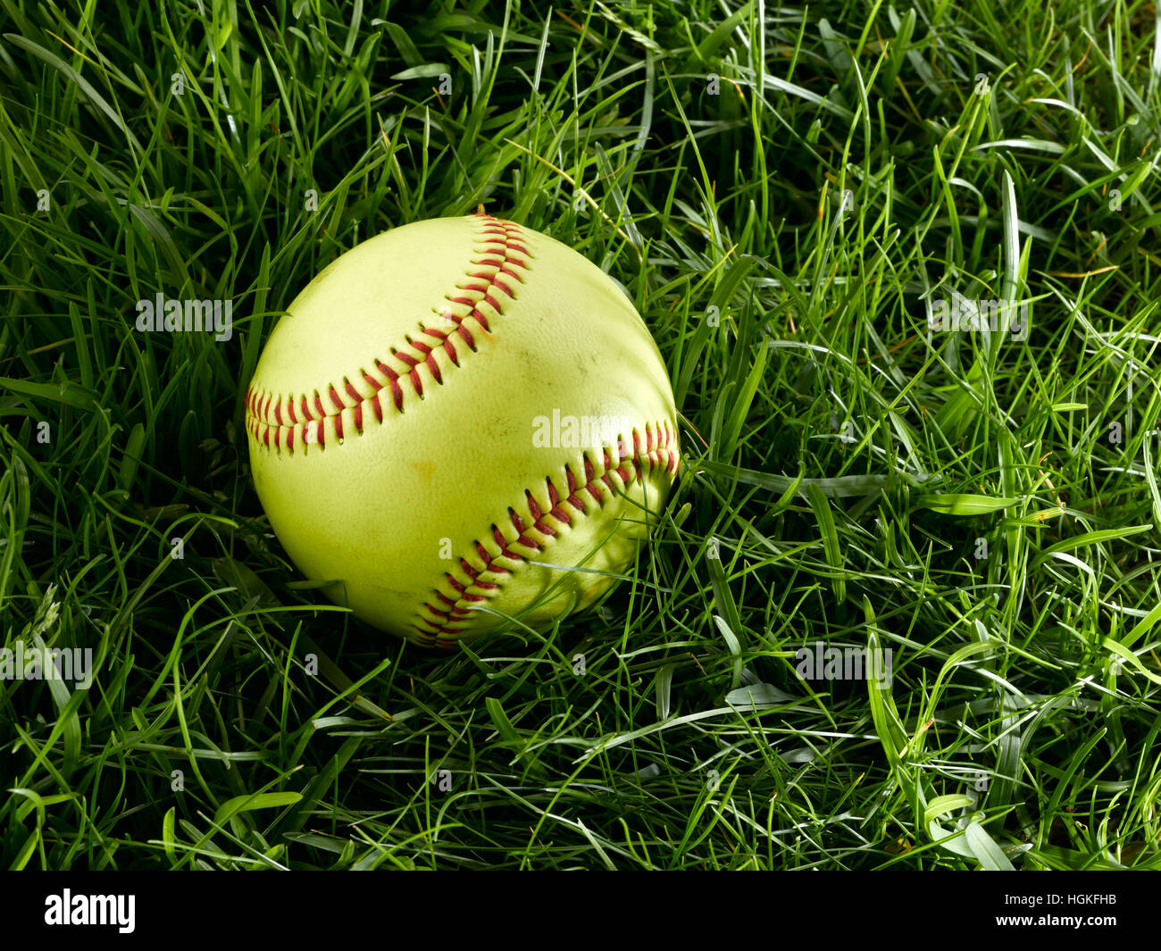 Yellow Softball on grass Stock Photo - Alamy