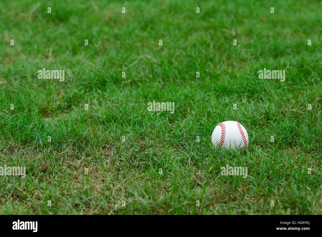 baseball on grass Stock Photo - Alamy