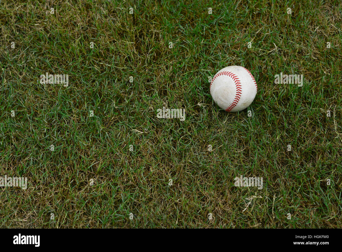 baseball on grass Stock Photo - Alamy