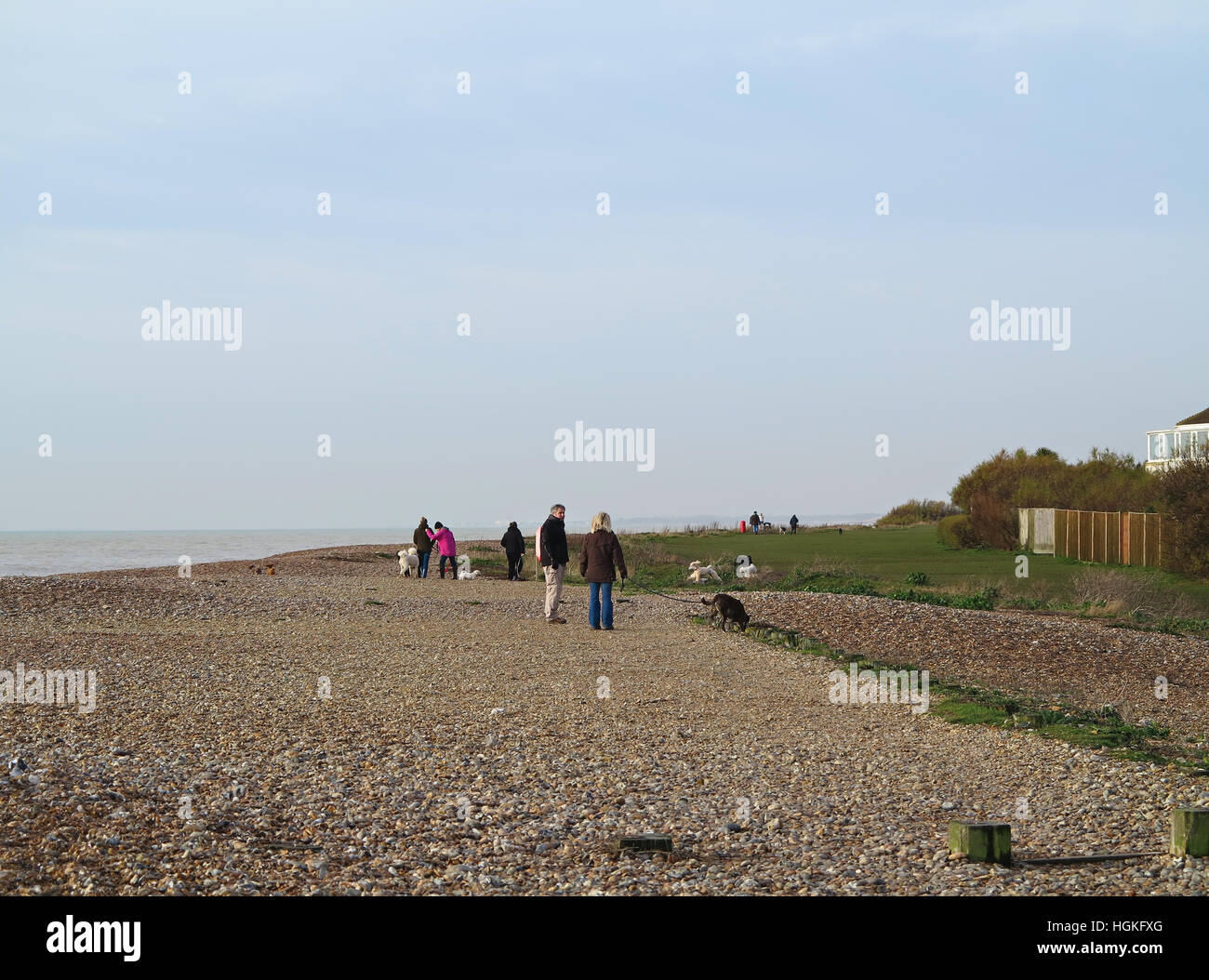People walking their dogs in winter on beach at Ferring, West sussex ...