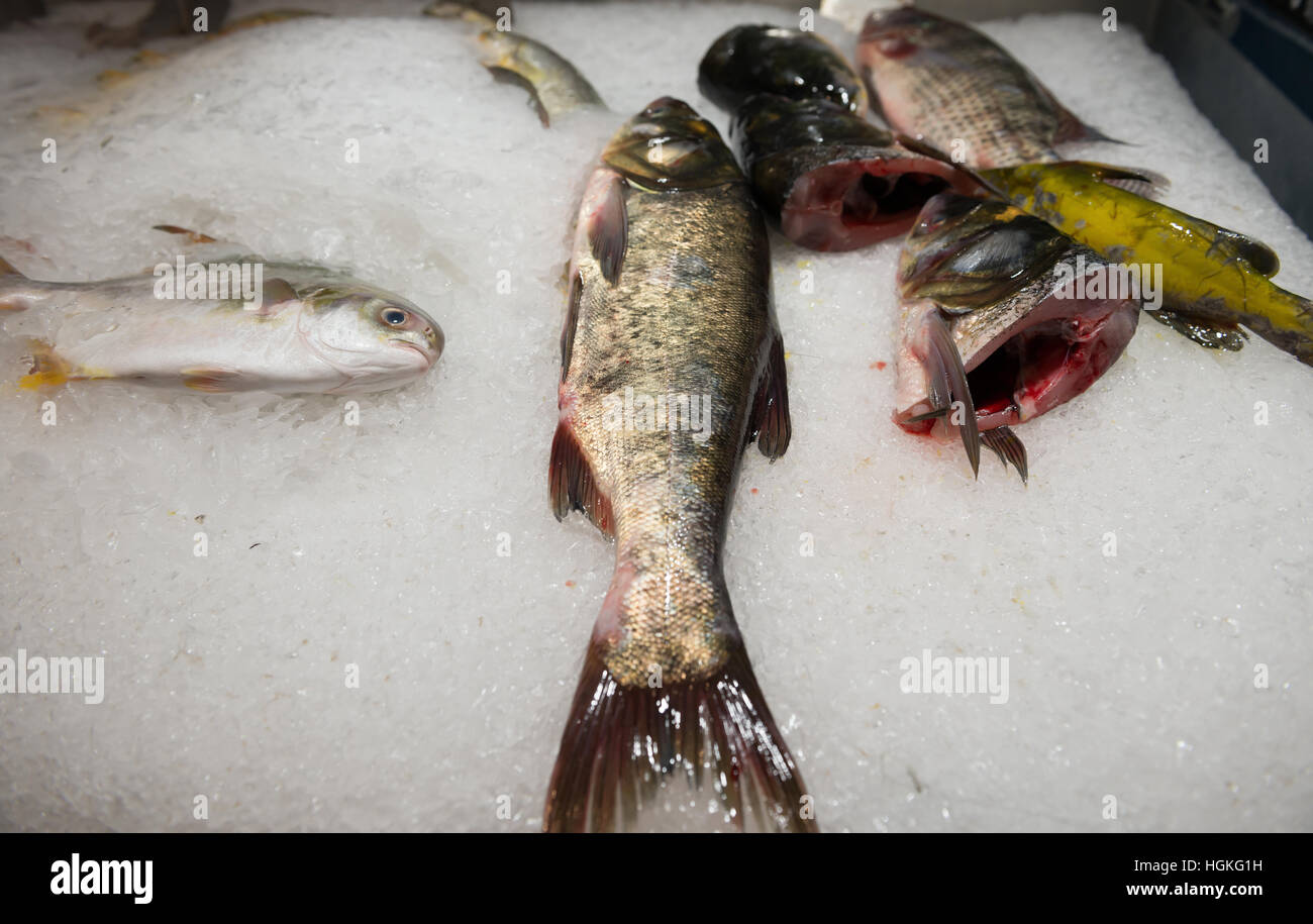 Fresh iced fish hi-res stock photography and images - Alamy