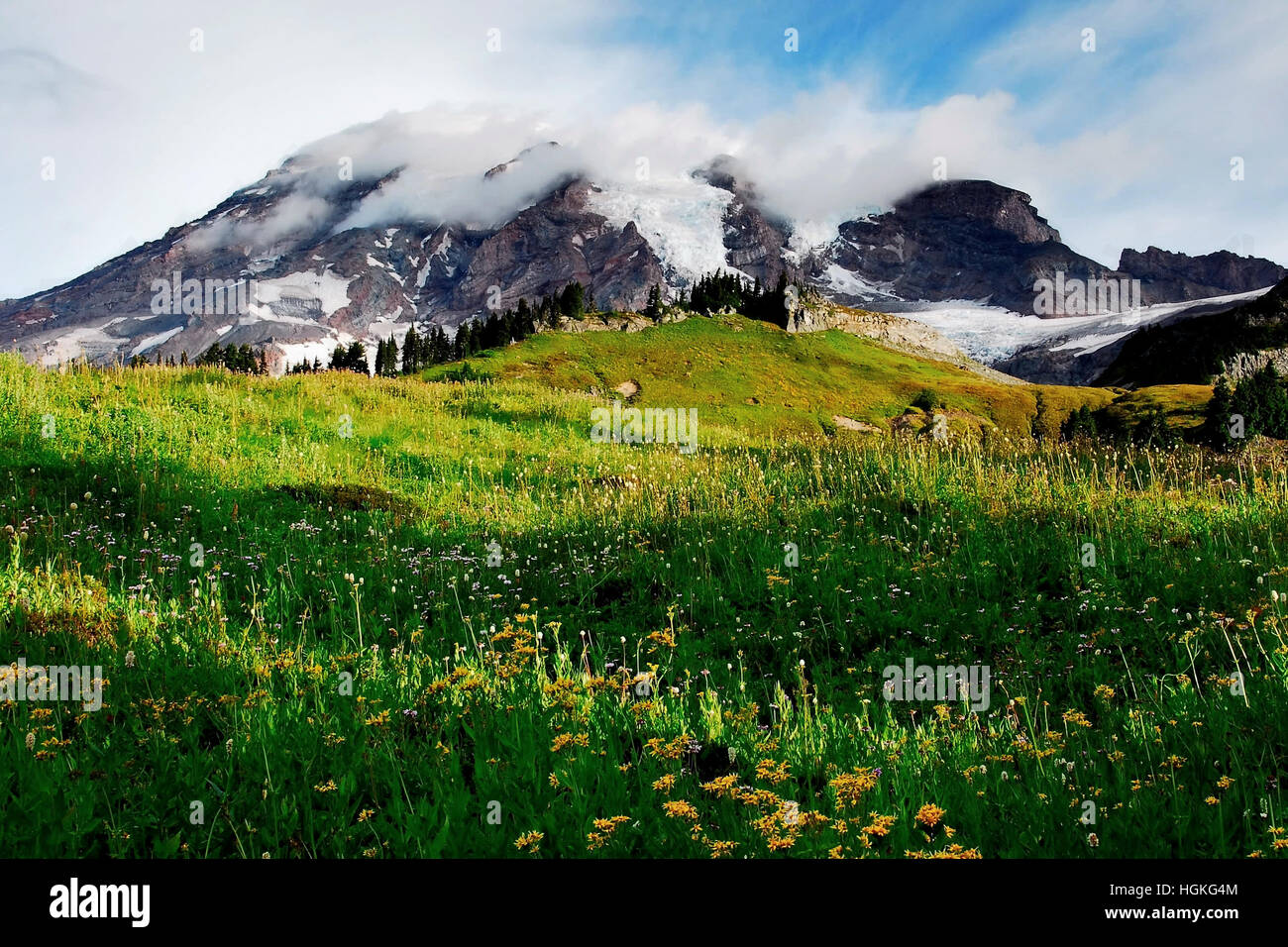 Map of rainier hi-res stock photography and images - Alamy