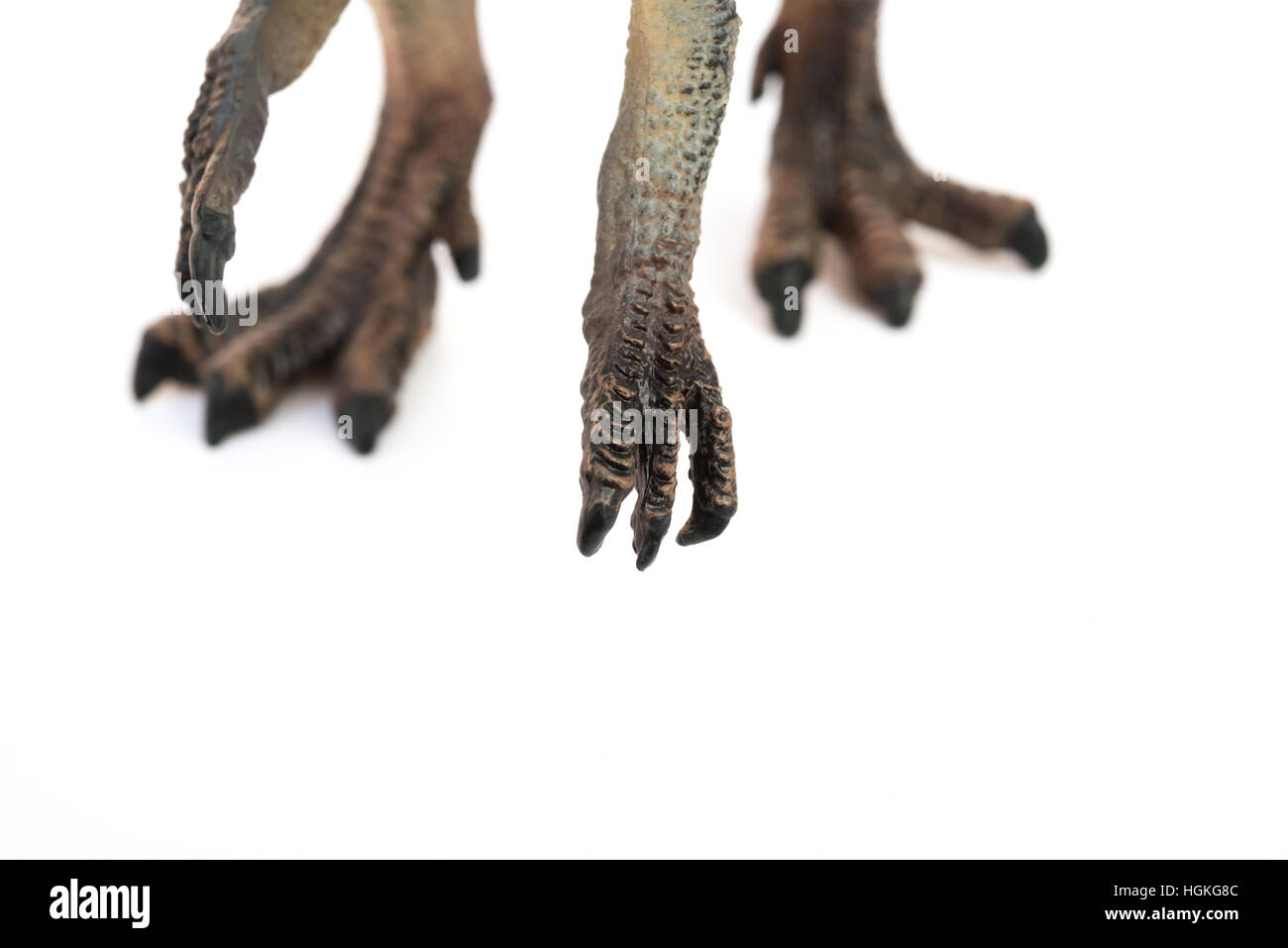 Spinosaurus model hi-res stock photography and images - Alamy