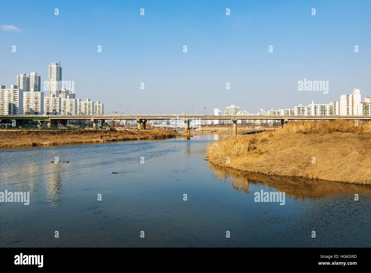 Bridge in Seoul with river and buildings Stock Photo - Alamy