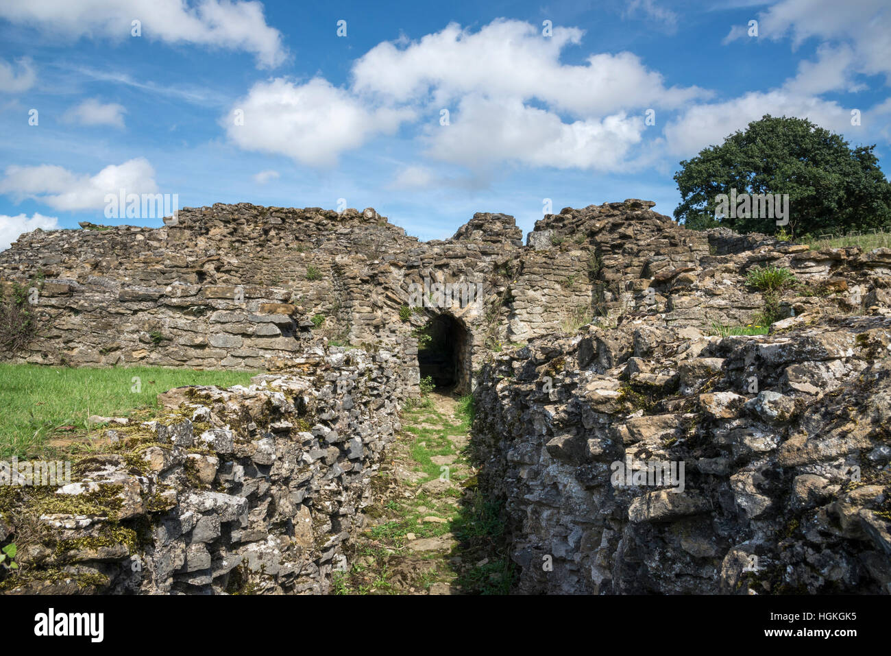Ruins of Kirkham Abbey (Kirkham Priory) beside the river Derwent in ...