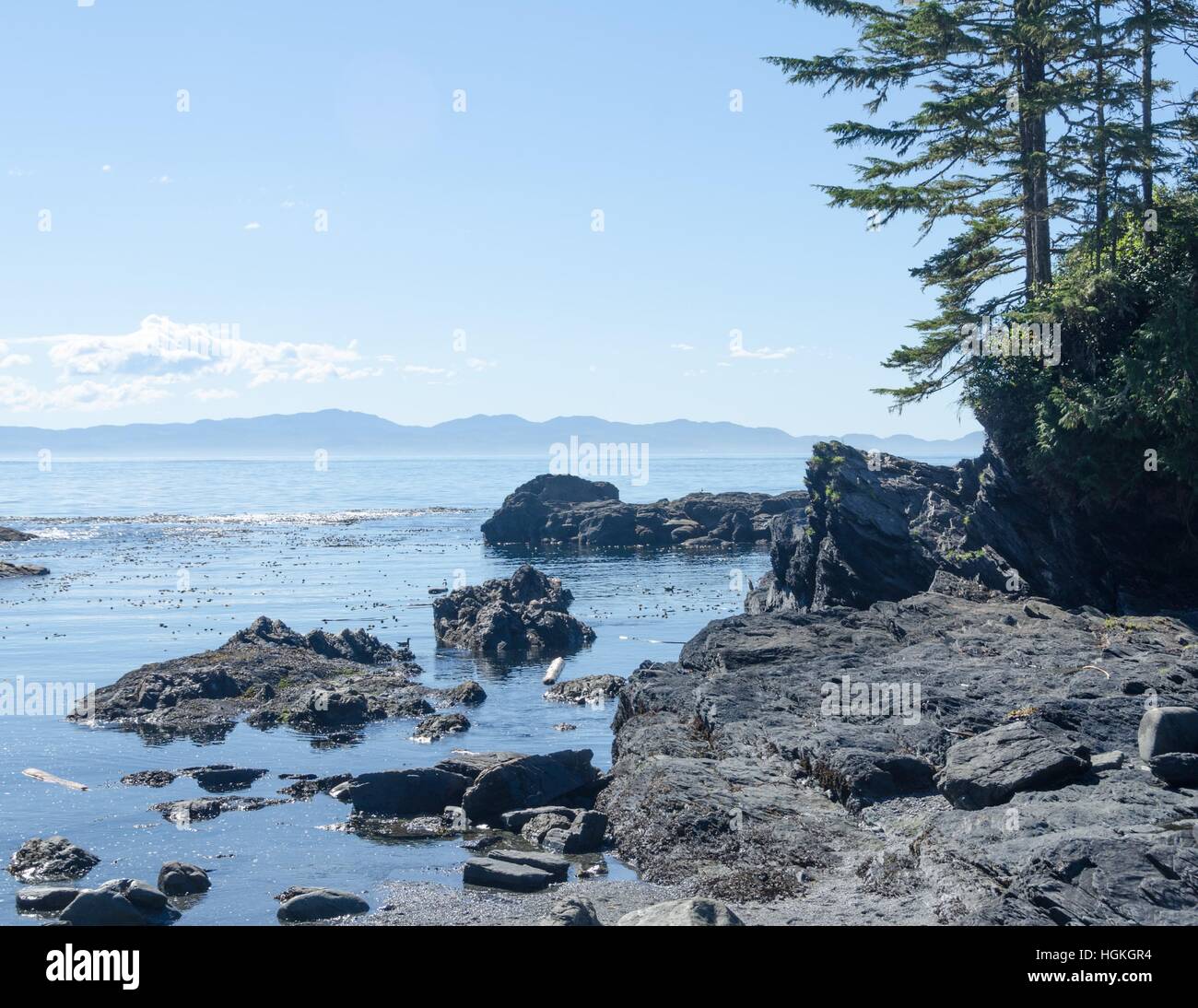 Botany Bay, Vancouver Island, BC, Canada Stock Photo - Alamy