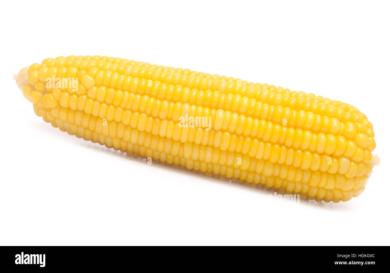 Boiled corn on white background Stock Photo - Alamy