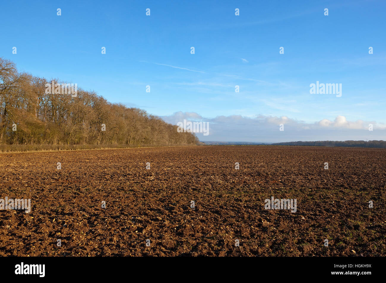 An English winter landscape with a plowed field and woodlands on the ...