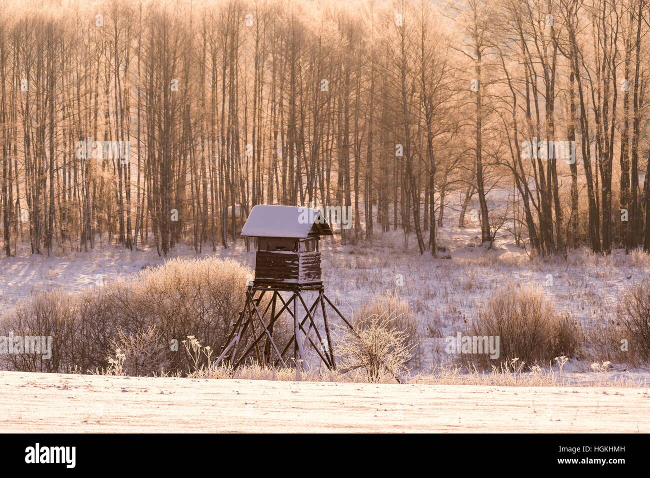 Hunters stand, forest, frost Stock Photo - Alamy