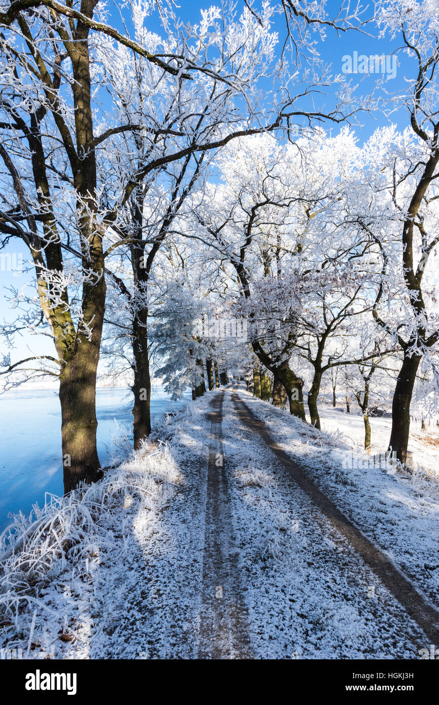 Vertical photo with winter scene landscape. Footpath covered by white ...