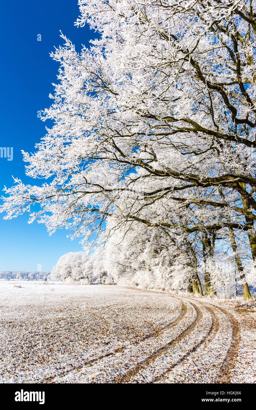 Vertical photo with winter scene landscape. Footpath on white snowy ...