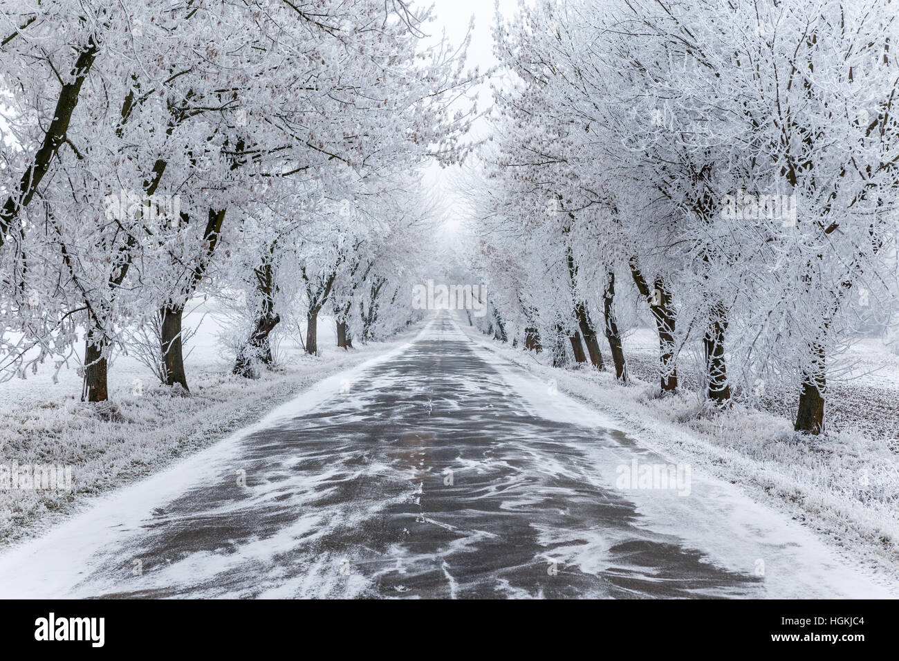 Frozen trees hi-res stock photography and images - Alamy