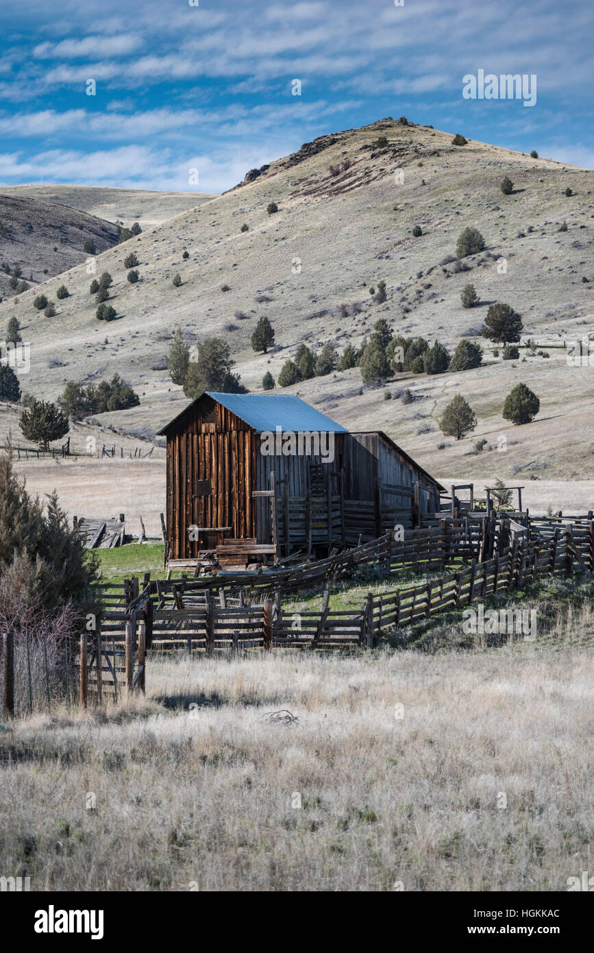 Cattle ranch in oregon hi-res stock photography and images - Alamy