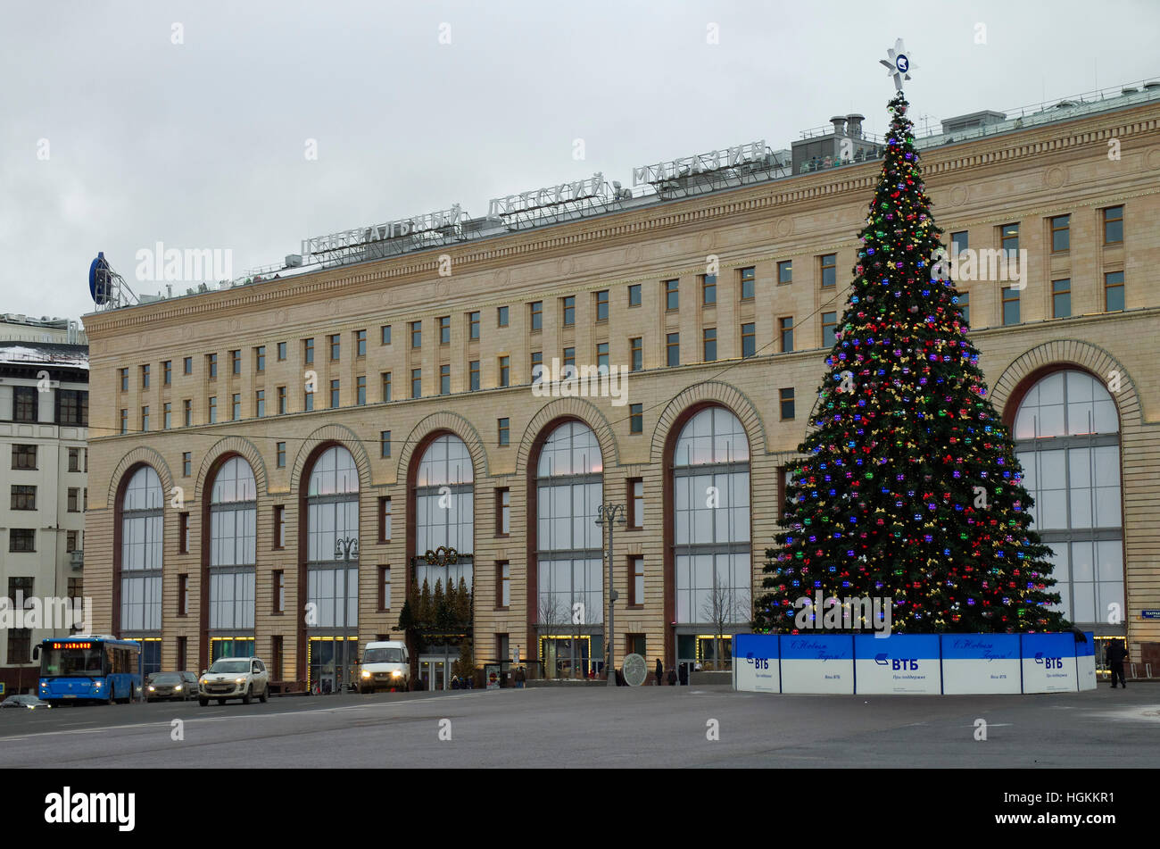 Moscow tree hi-res stock photography and images - Alamy