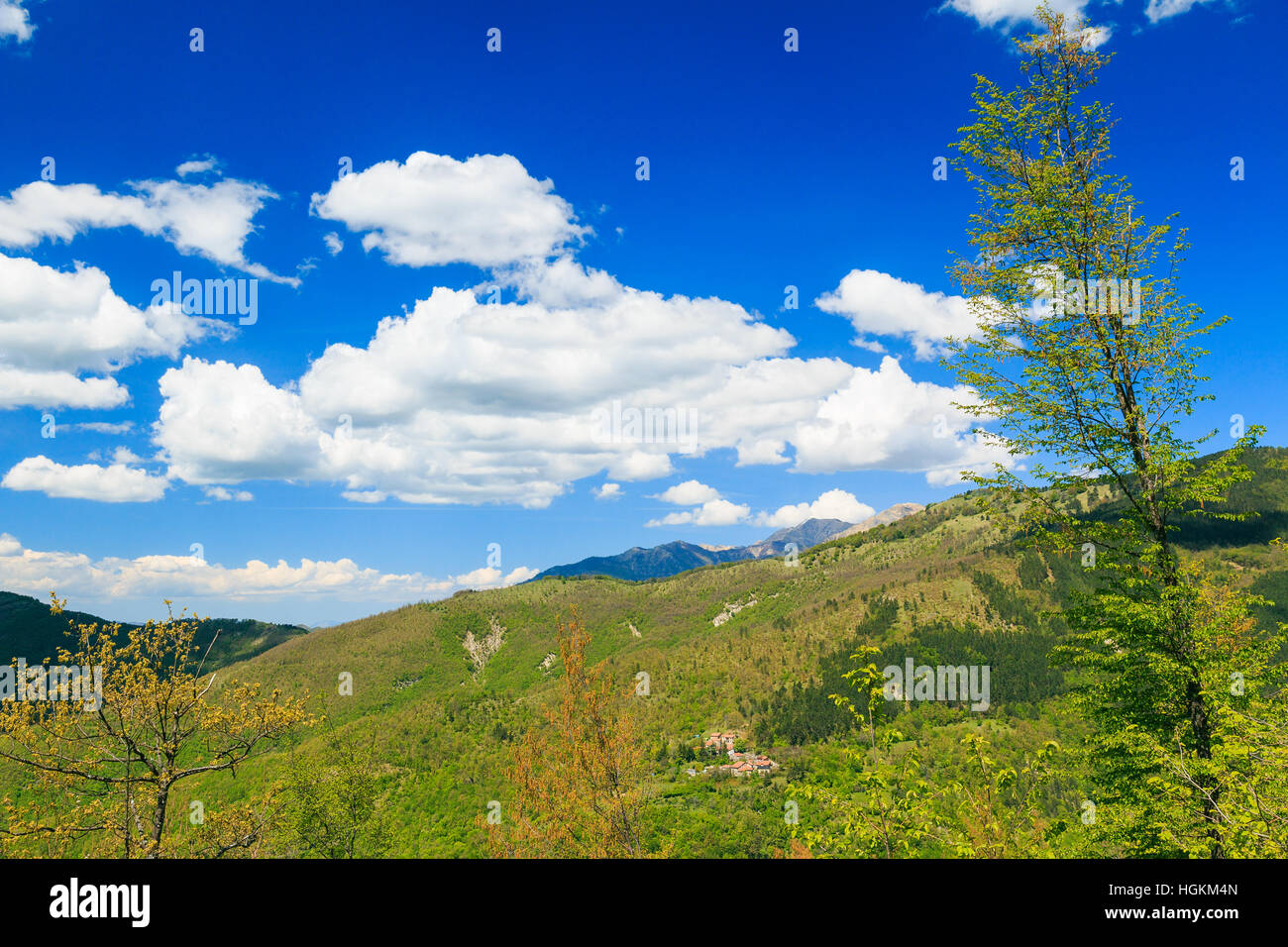 Apennine Mountains Italy landscape with vegetation in spring Stock ...