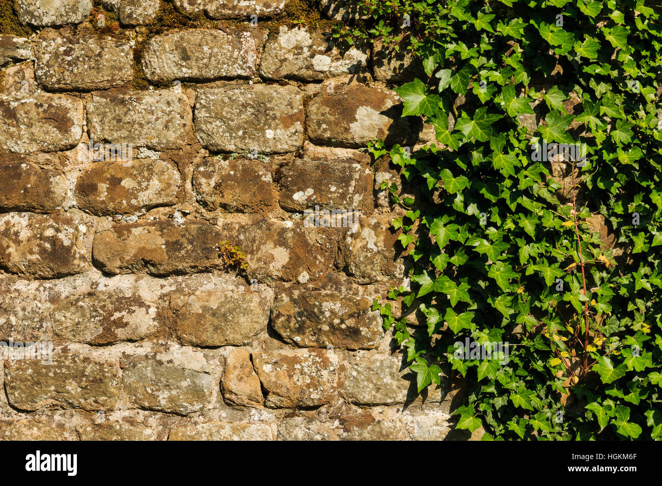 Rough wall hi-res stock photography and images - Alamy