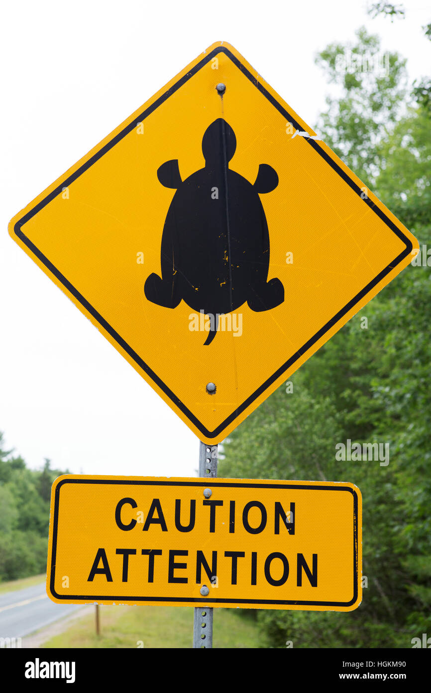 A sign warning of turtles on the highway near Kejimkujik National Park ...