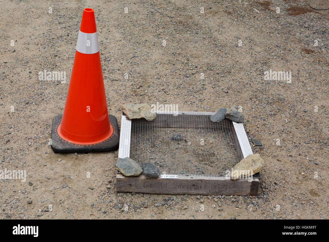 A cone and box protecting turtle eggs in the car park of Kejimkujik ...