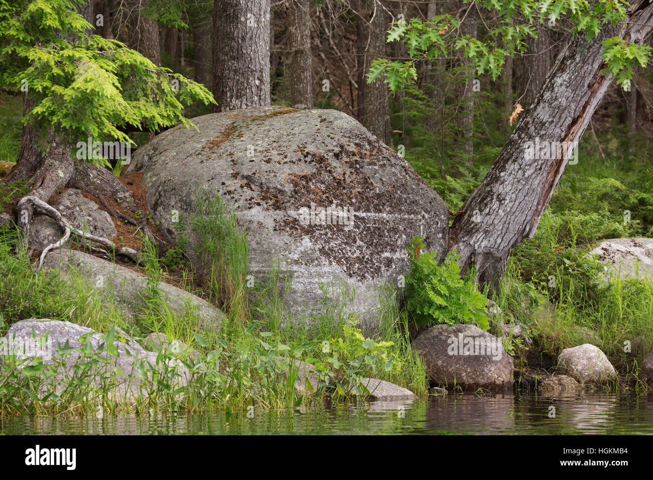 A boulder with grooves from Ice Age glaciers in Kejimkujik National ...