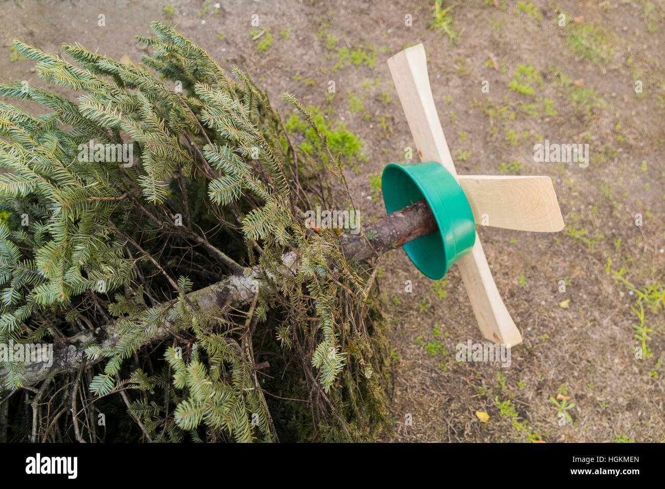 End of Christmas. Old discarded Christmas tree Stock Photo - Alamy
